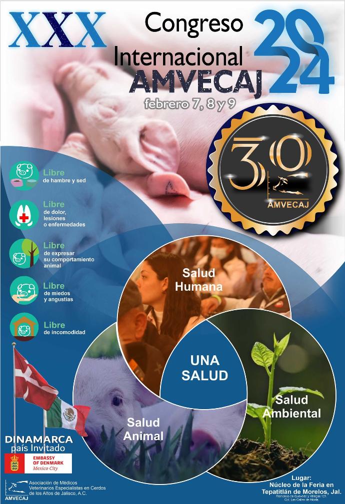 XXX AMVECAJ 2024 | Website AMVECAJ